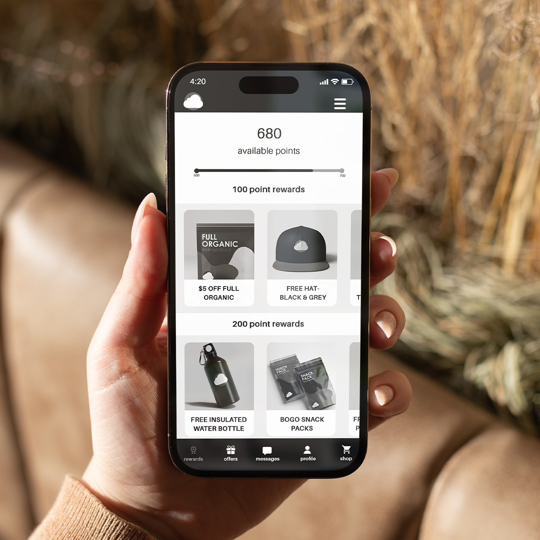 Best Practices - Springbig